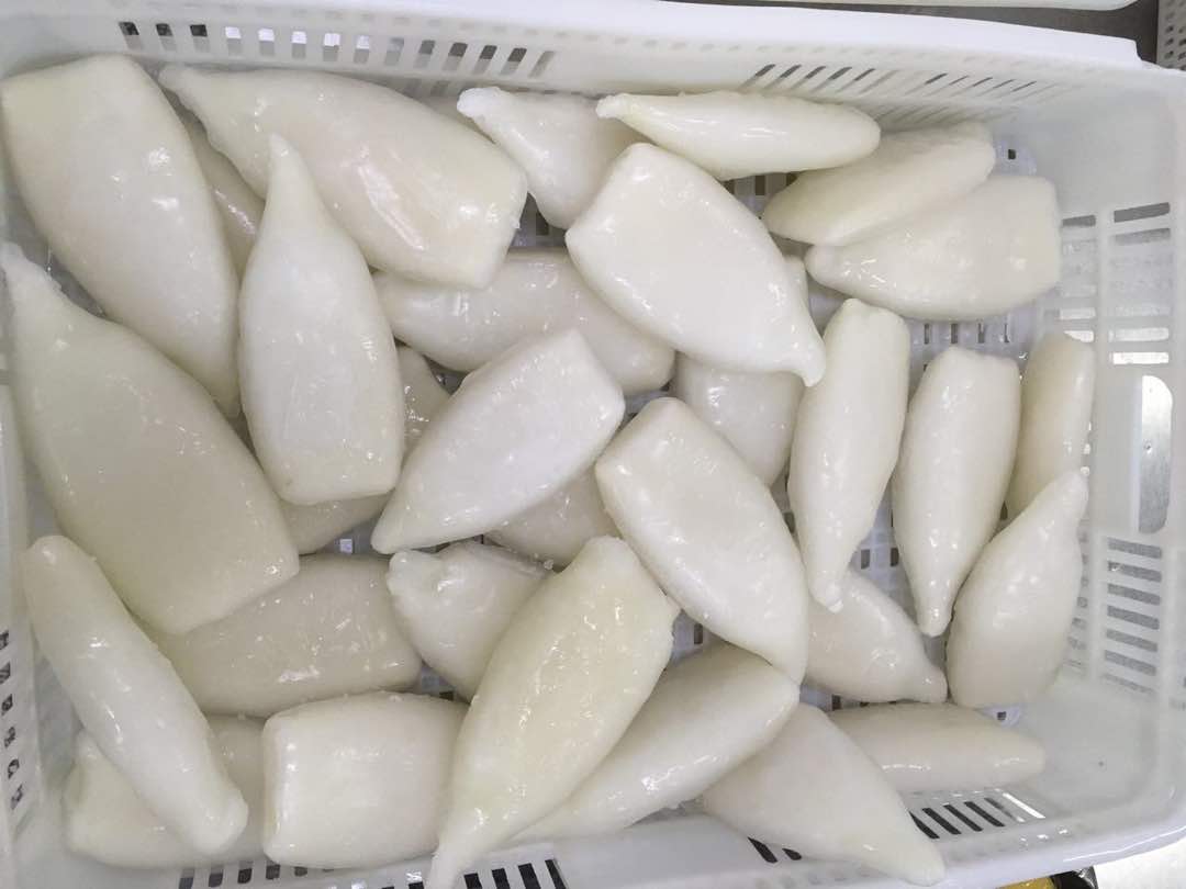 Squid & Shellfish Products 苏东&贝类 – Tong Kin Seafood Merchants